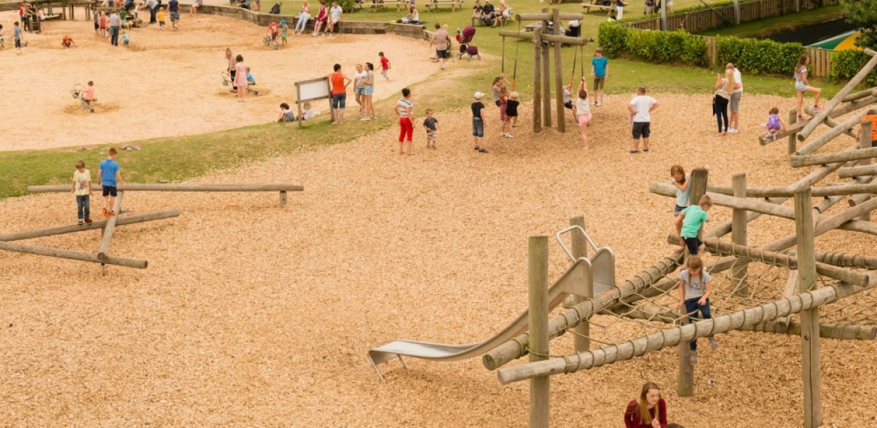 York Maze - Attractions