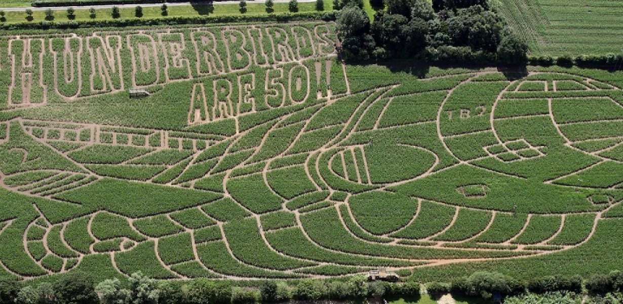 York Maze - Home