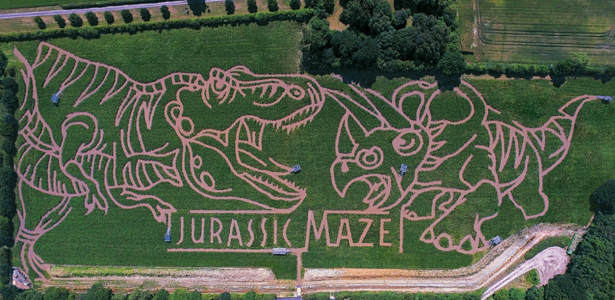 York Maze - Home