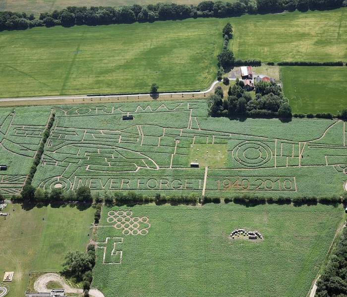 York Maze - Gallery