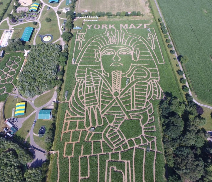 York Maze - Home