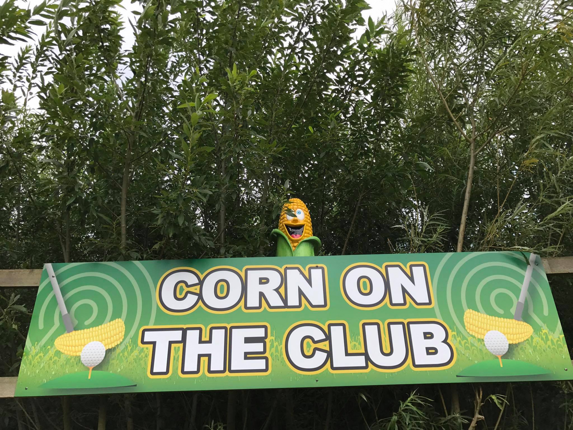 York Maze - Take It Easy